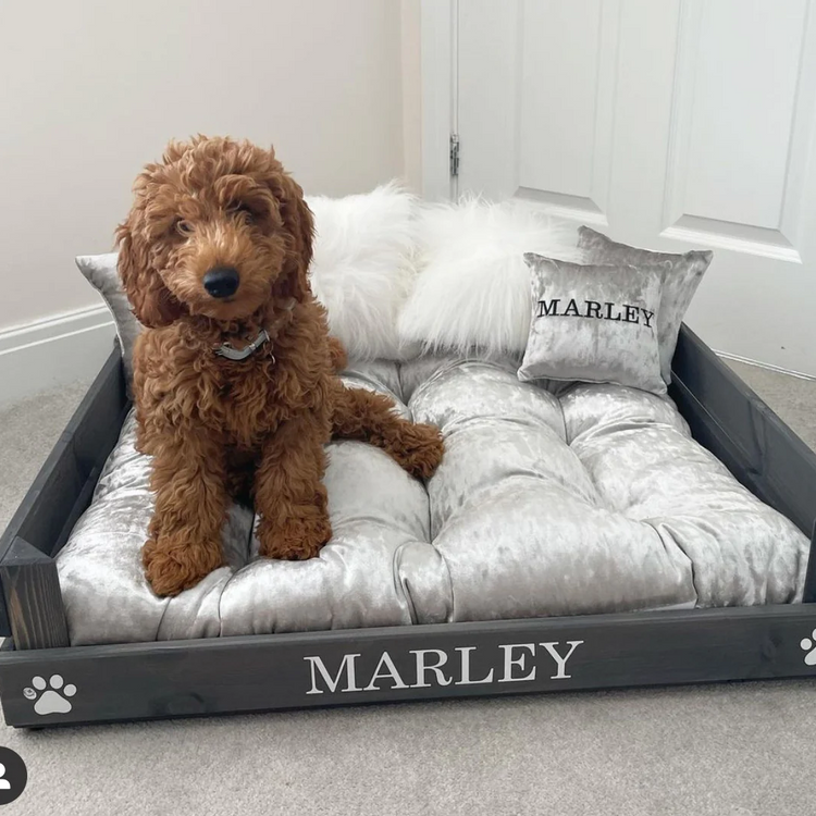 Personalised Pet Products - Customised Gifts for Dogs & Cats – QT ...