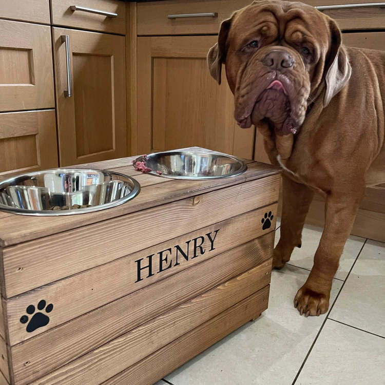 Personalised Pet Products - Customised Gifts for Dogs & Cats – QT ...